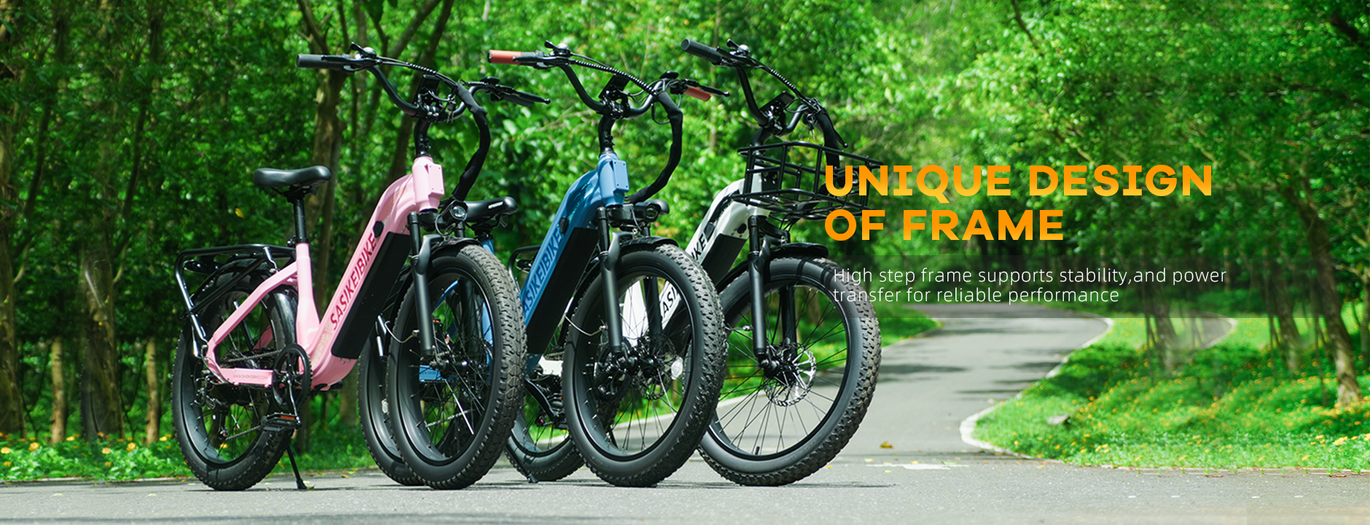 Fat Tire Electric Bike&Electric Motorcycle| Ebike for Sale SASIKEIBIKE